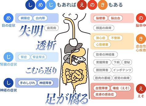 糖尿病の合併症一覧を解説｜しめじとえのきの違い発症する順番も 東京でエクソソーム・再生医療・幹細胞治療なら青山レナセルクリニック