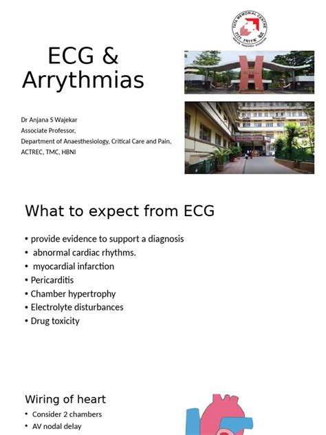 Ecg And Arrythmias Pdf