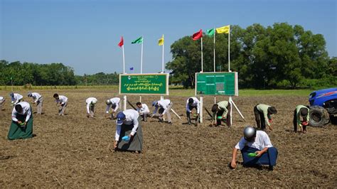 မော်လမြိုင်ကျွန်းမြို့နယ်၌ သစ်စိမ်းမြေဩဇာ ပိုက်ဆံလျှော် မျိုးစေ့ထုတ်စိုက်ခင်း ကွင်းသရုပ်ပြပွဲ