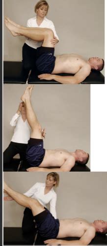 Functional Lab Cervical Lumbar Stabilization Flashcards Quizlet