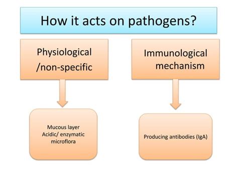 Lactic Acid Bacteria Pptx Infectious Diseases Diseases And Conditions