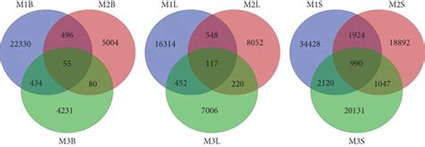 The Number Of Public Cdr3 Sequences From Cd4⁺cd25⁺ T Cells Tcr β Cdr3