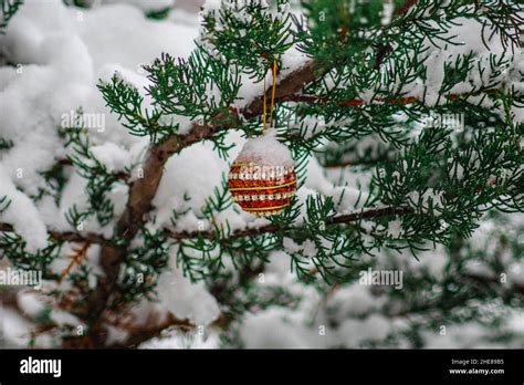 Photo Of Embellished Red Ball Ornament Hung On A Pine Tree Covered In