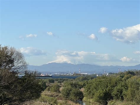 里山のキジオ