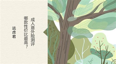 成人意外险，哪款性价比最高？ 知乎