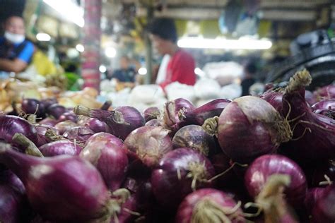 Philippines to import 7K metric tons of red onions | The Manila Times