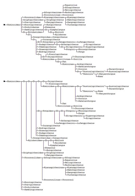 Unicode Phylogenetic Trees By Dracontes On Deviantart