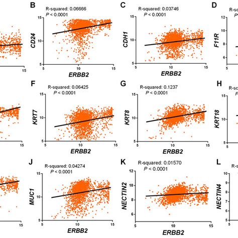 Closed Inactive Promoter And Enhancer Histone Marks Of Erbb2 Gene In