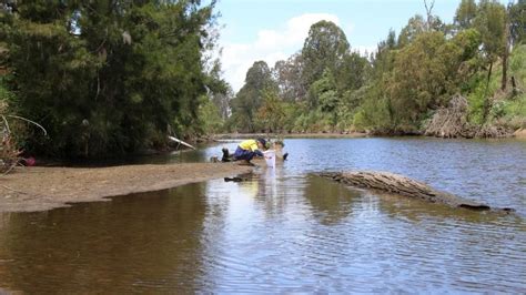 Collaboration Key To Improving Logan Albert Catchment Inside Local