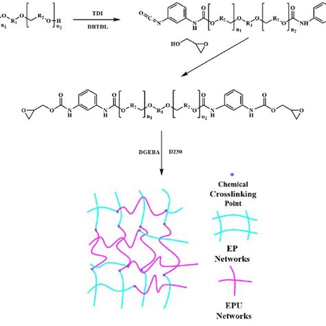 The Synthesis Route Of Epoxy−terminated Polyurethane And Schematic Download Scientific Diagram