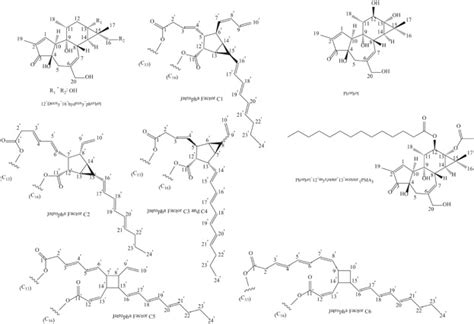 Quantification Of Phorbol Esters In Jatropha Curcas By HPLCUV And HPLC
