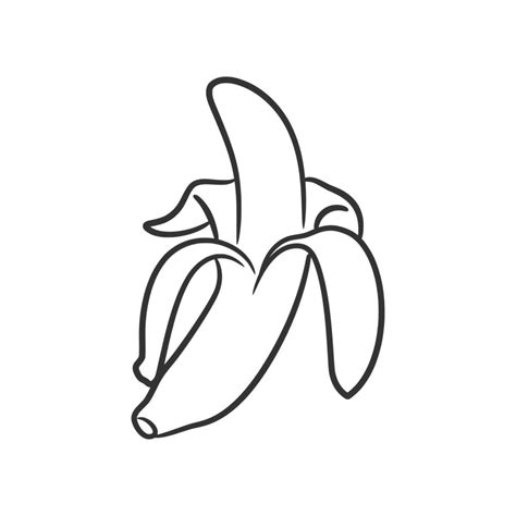 Banana Line Art Vector Illustration 20297588 Vector Art At Vecteezy