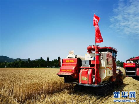 全国小麦收获主战场向西转移 甘肃丰景大片热映中凤凰网甘肃 凤凰网