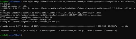 Home Lab Ingesting Data With Agent And Fleet