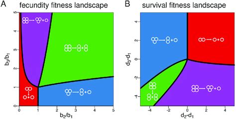 Optimal Fragmentation Modes For Fecundity And Survival Landscapes Download Scientific Diagram