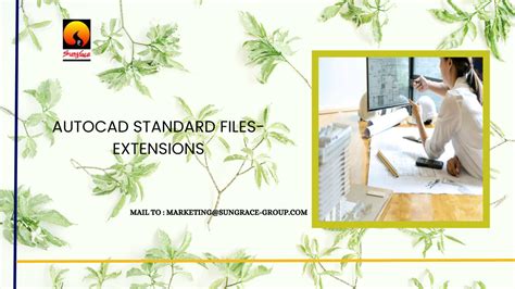 article 14 autocad standard files extensions