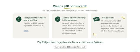 7 Shiny Customer Loyalty Program Examples How To Do It Too
