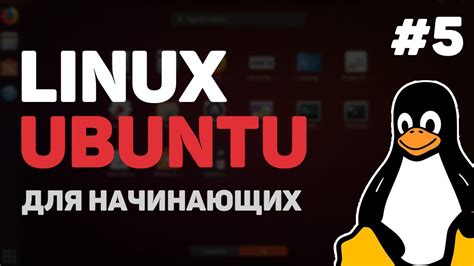 Linux для начинающих Урок 5 Работа с файлами и директориями Youtube