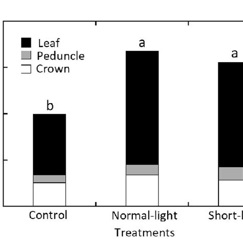 Dry Weights Of Respective Organs Of Strawberry Plants Leaf Peduncle Download Scientific