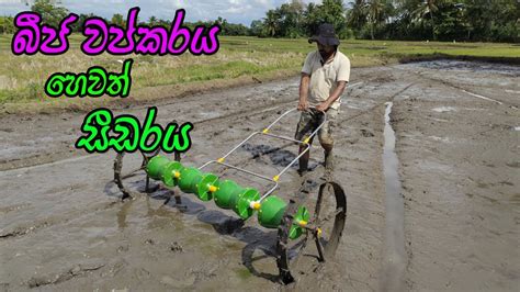 බීජ වප්කරය හෙවත් සීඩරය භාවිතා කිරීම Seeder For Paddy Cultivation