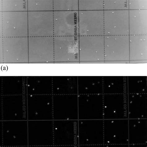 Extraction Of Local Singularity A A Sticky Trap Image With Download Scientific Diagram