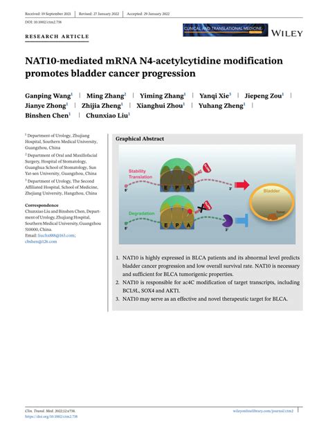 Pdf Nat10‐mediated Mrna N4‐acetylcytidine Modification Promotes