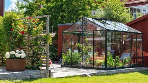 These 9 Fruits Will Thrive In Your Greenhouse Garden