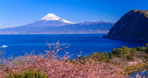 豊富な自然が魅力的な伊豆4つのエリアを知って伊豆旅行を満喫しよう びゅうトラベルJR東日本