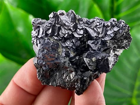 Rare Crystallisation Mirror Galena From Krushev Dol Minemadanbulgaria