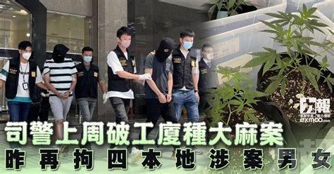 司警上周破工廈種大麻案 昨再拘四本地涉案男女 澳門力報官網