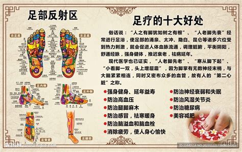 中医经络足疗的十大好处设计图海报设计广告设计设计图库昵图网