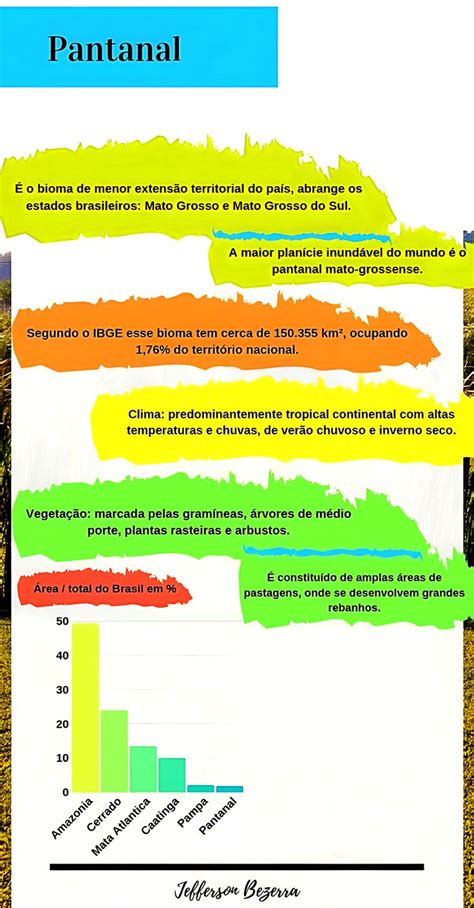Pantanal Pantanal Mapa Mental Bioma Pantanal