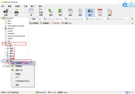 数据库 工具 Navicat 导入导出sql文件 以及 导入导出psc备份文件navicat导入psc文件 Csdn博客