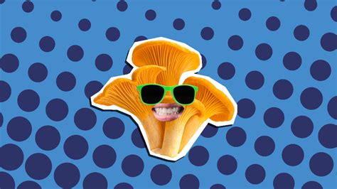 Sink Your Claws Into These 20 Hello Kitty Jokes