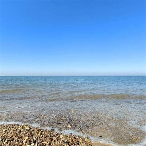 Weiping Li Faculty Member Doctor Of Engineering Chongqing