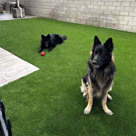 Contact Us Denver Synthetic Grass Warehouse