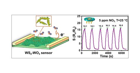Hierarchical Ws2wo3 Nanohybrids With Pn Heterojunctions For No2 Detection Acs Applied Nano