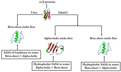 The Difference Between Alpha And Beta Sheets