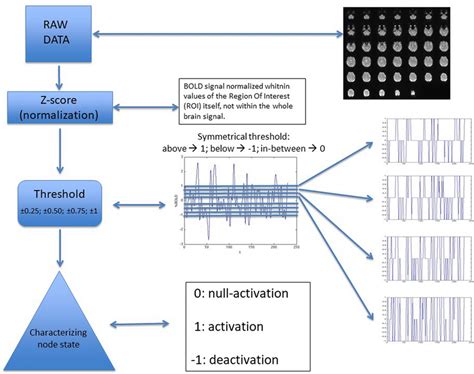 Flow Chart Of Brain Signal Processing Brain Signals Of Each Subject