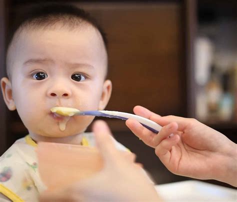 Guide Complet De Lalimentation Pour Bébé Allaitement