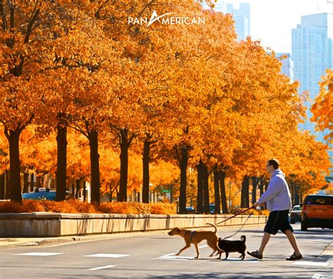 Những địa điểm đẹp Nhất Ngắm Mùa Thu ở Boston Panvisacomvn