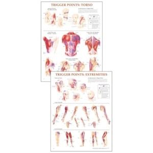 Trigger Point Chart Set Australian Physiotherapy Equipment