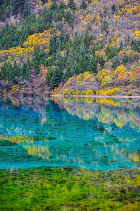 九寨沟风景名胜区九寨沟 成都垂直画幅瀑布无人户外湖山国内著名景点素材 花瓣网