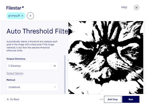 Filestar Auto Threshold Jfif Filter