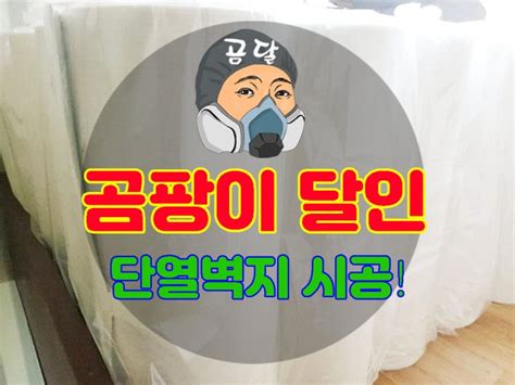 단열벽지 시공으로 곰팡이 예방과 결로 방지하기 네이버 블로그