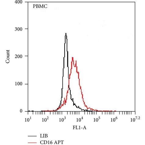 Evaluation Of The Binding Affinity And Specificity Of The Aptamers