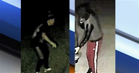 Police Car Burglars Strike In Port St Lucie