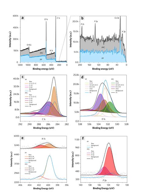 Wide Scan Xps Patterns Of Pp And Ppc A And The Partially Enlarged