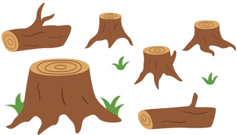 Forest Illustration Canva