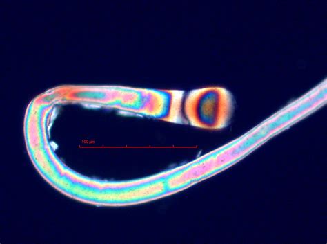 Polyester Fiber Under The Microscope